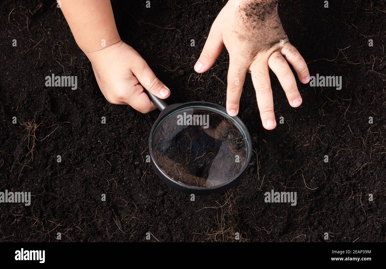 child hand hold magnifying glass for check black soil Stock Photo - Alamy
