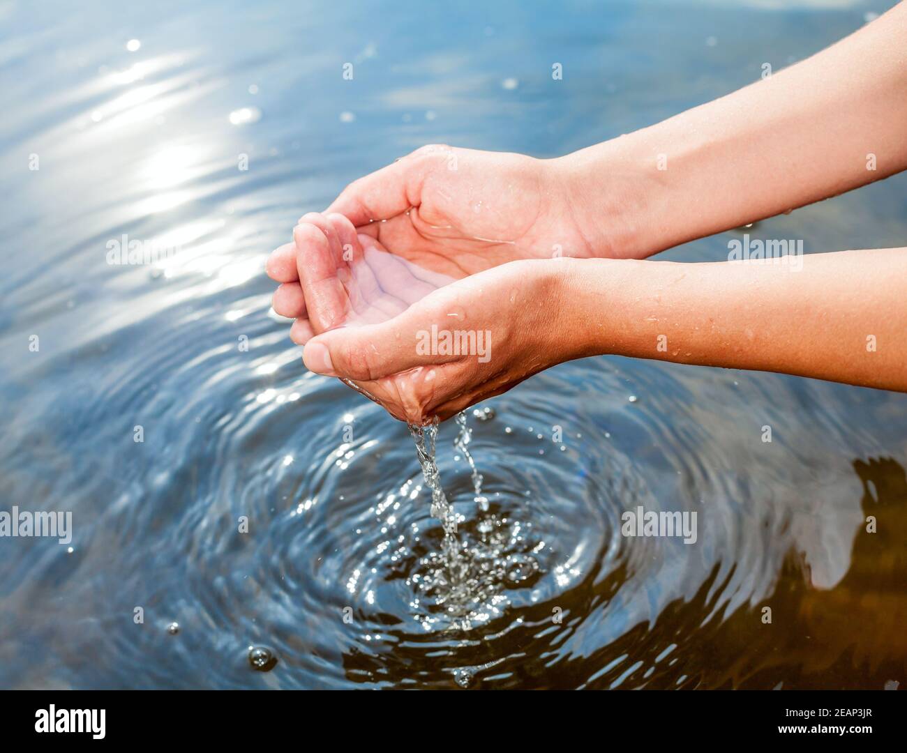 Cupped in palm hi-res stock photography and images - Alamy