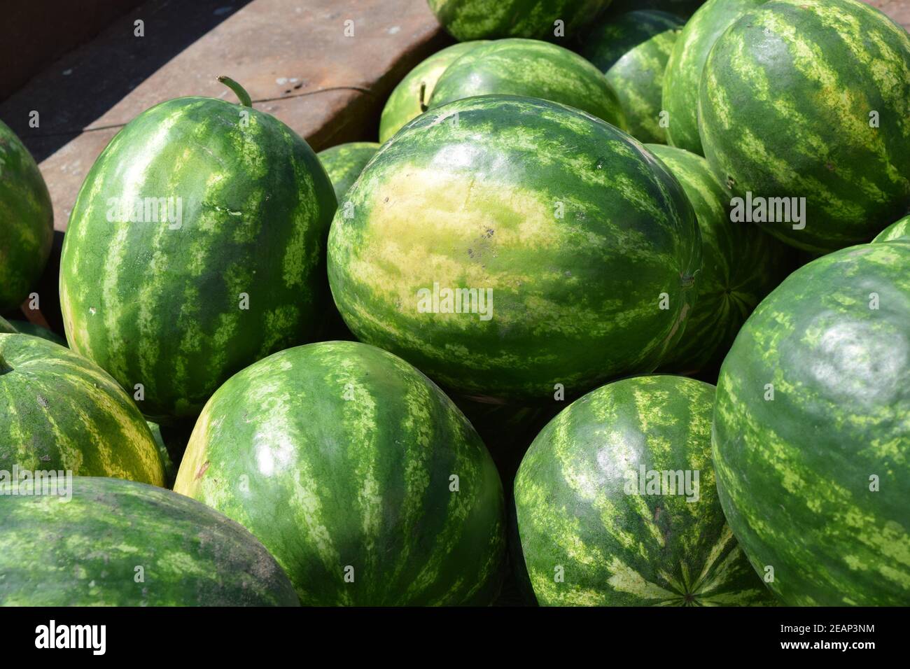 Watermelon skin pattern hi-res stock photography and images - Alamy