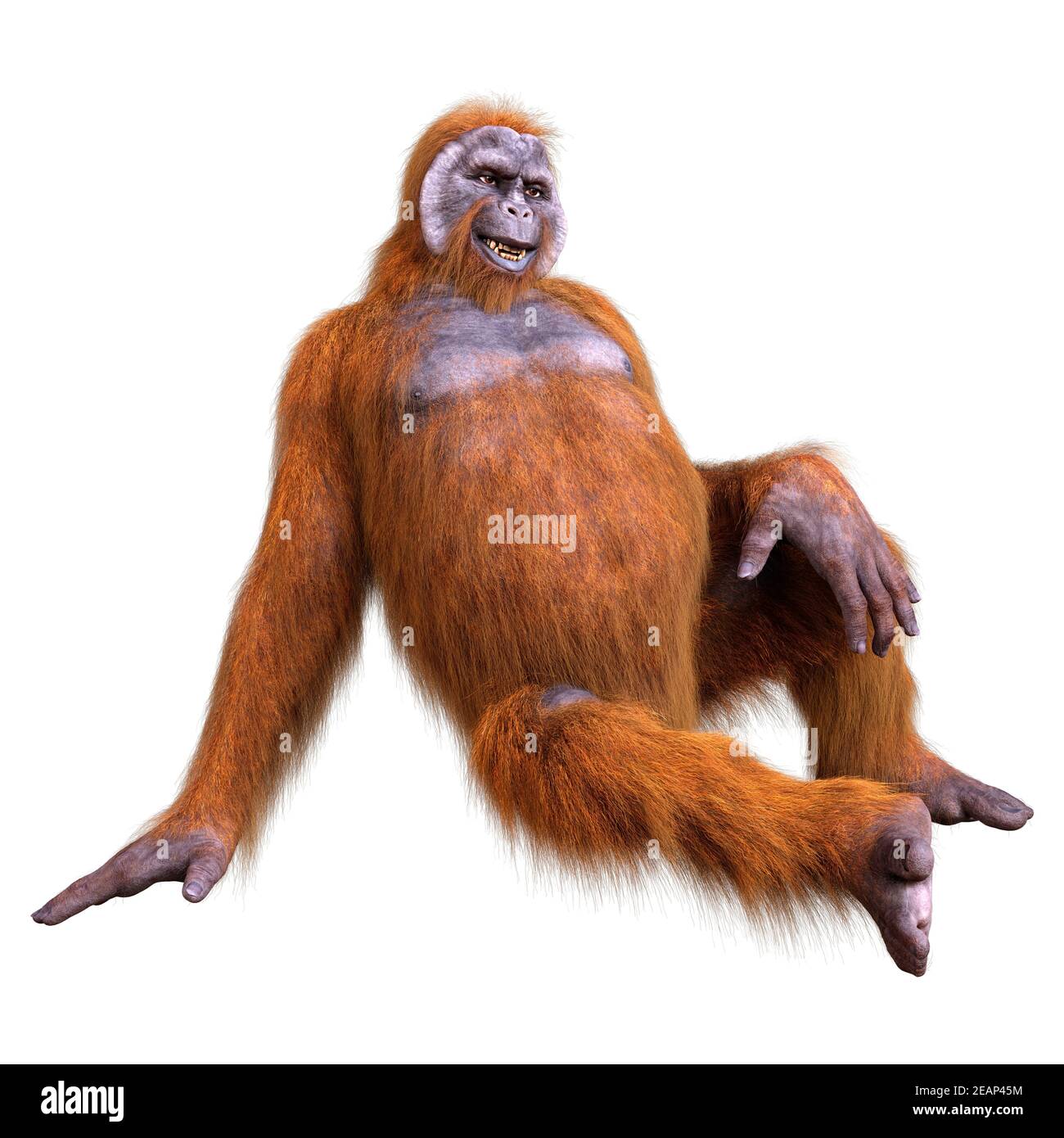 Orang utan zoo Cut Out Stock Images & Pictures - Alamy