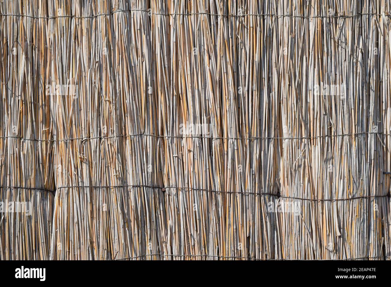 Reed roof texture hi-res stock photography and images - Alamy