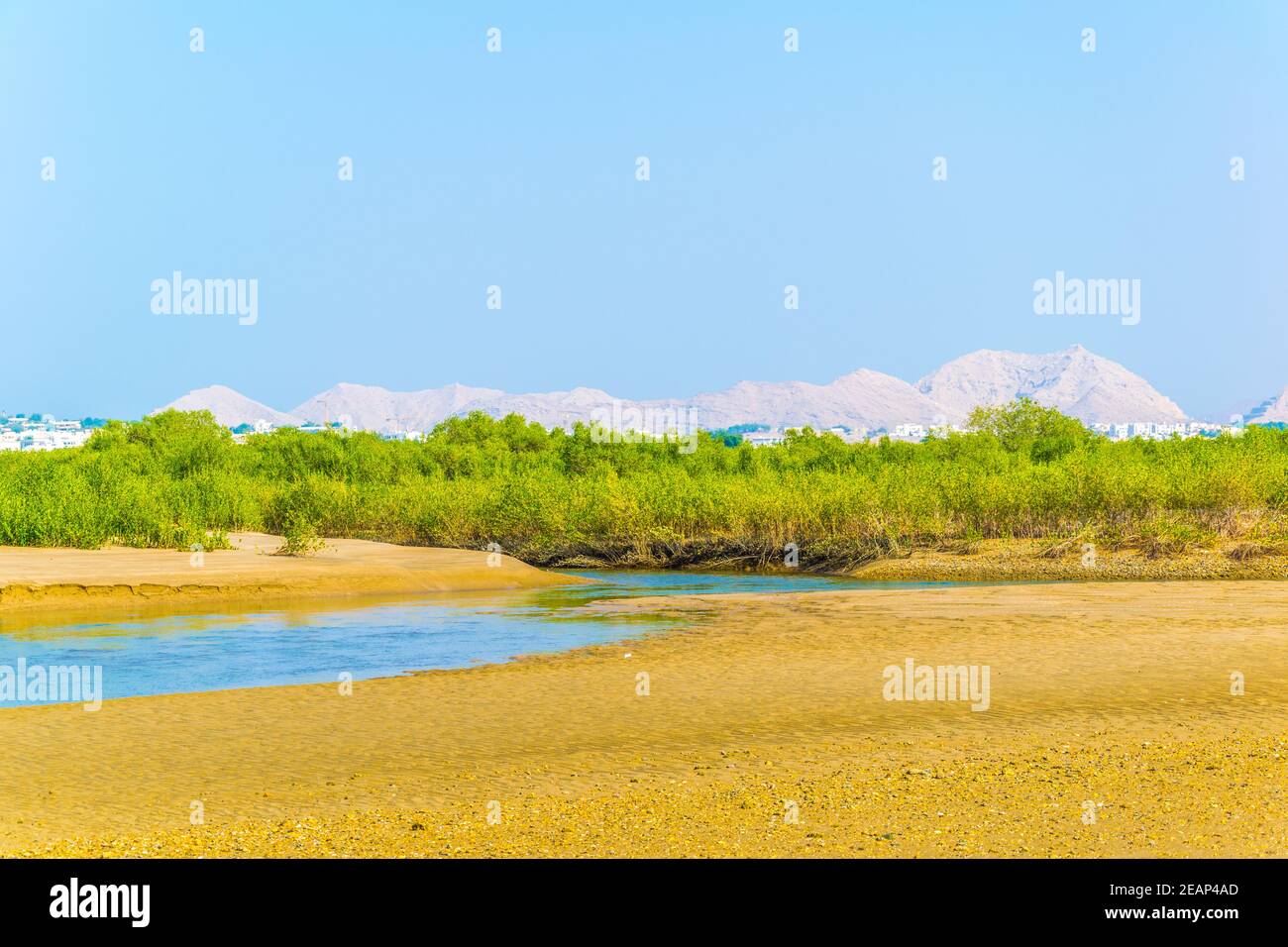 Wetlands in Muscat, the capital of Oman Stock Photo - Alamy