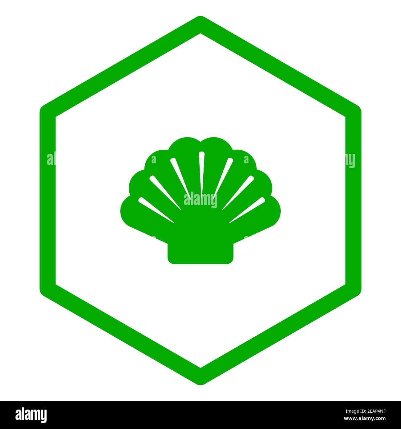 Comb shell hi-res stock photography and images - Alamy