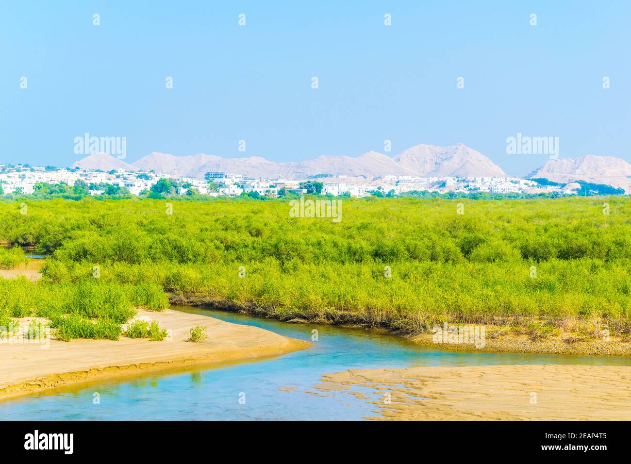 Wetlands in Muscat, the capital of Oman Stock Photo - Alamy