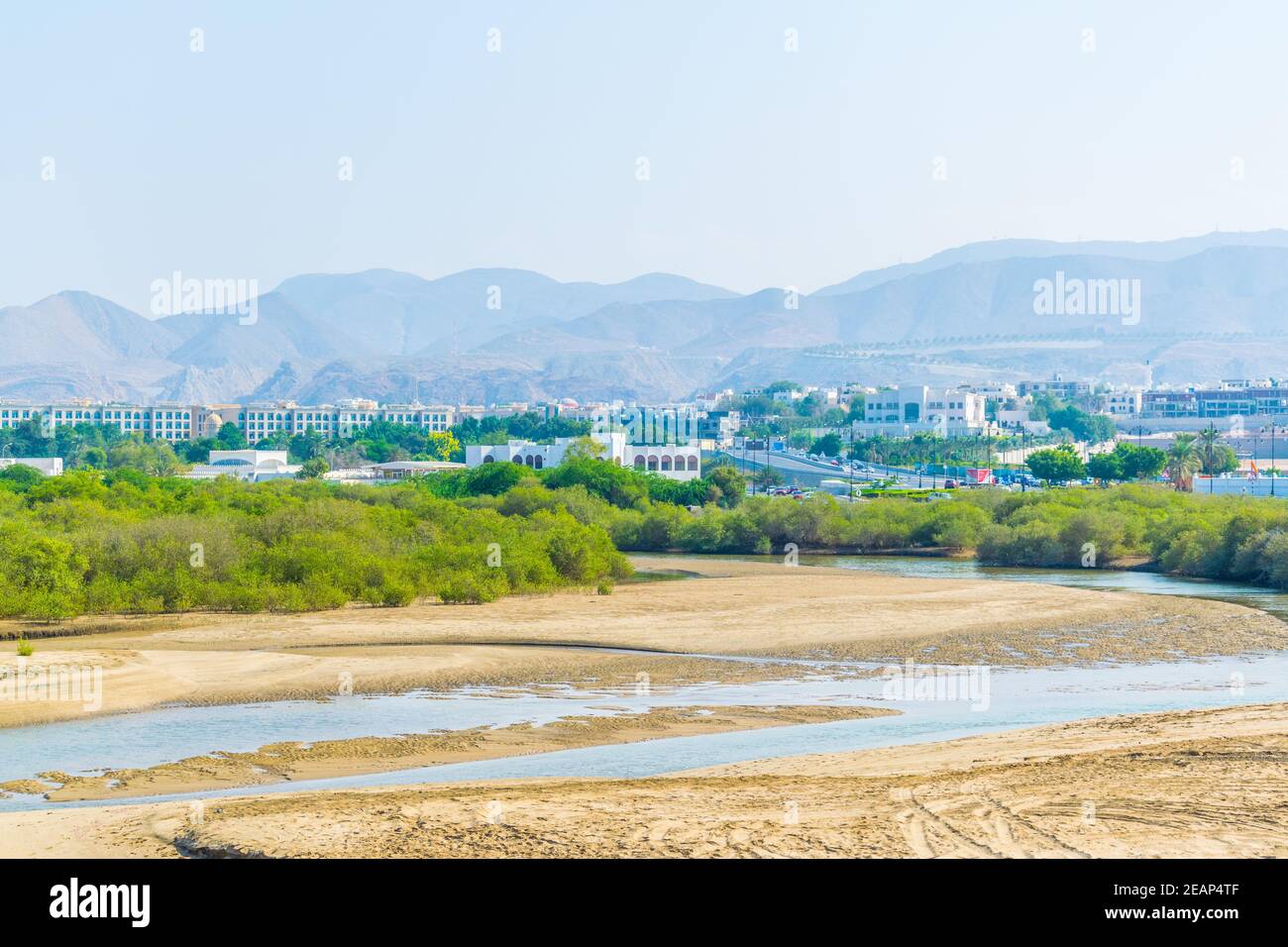 Wetlands in Muscat, the capital of Oman Stock Photo - Alamy