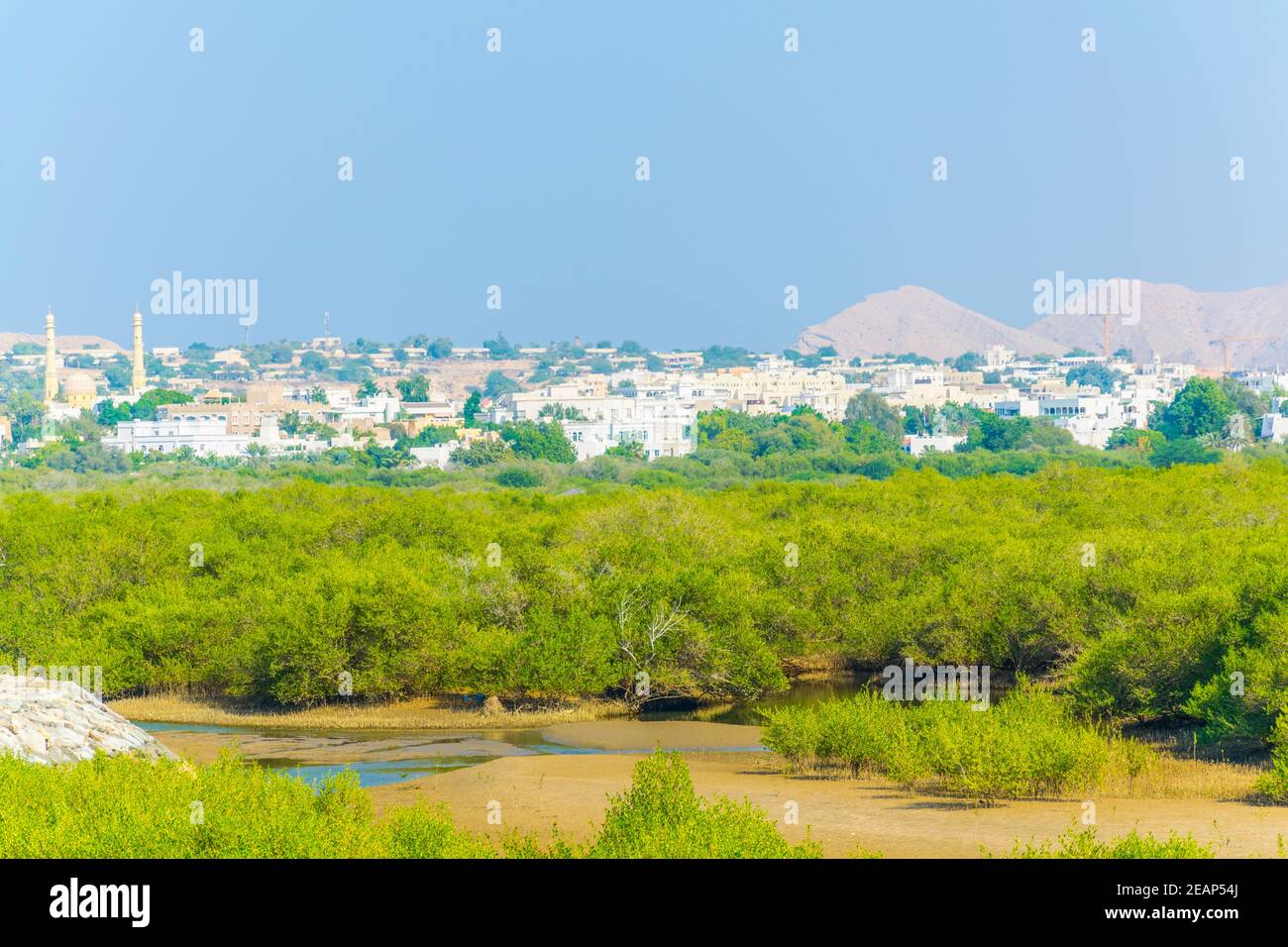 Wetlands in Muscat, the capital of Oman Stock Photo - Alamy