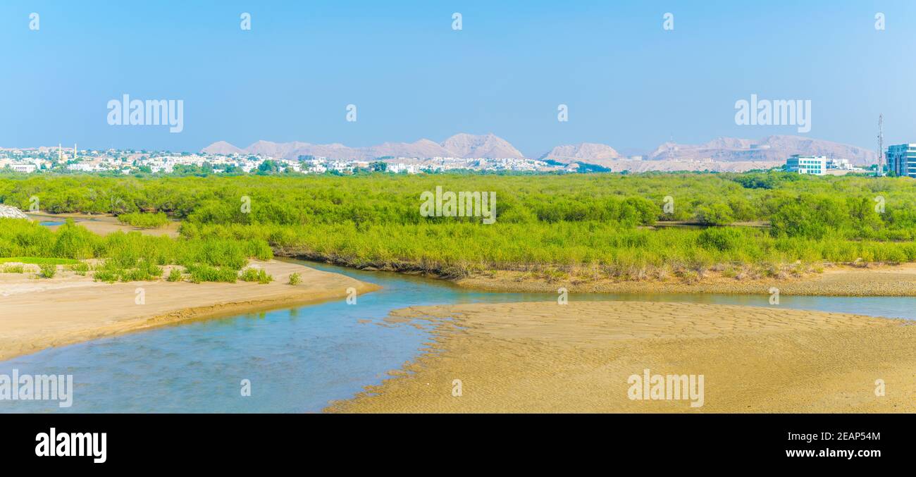 Wetlands in Muscat, the capital of Oman Stock Photo - Alamy