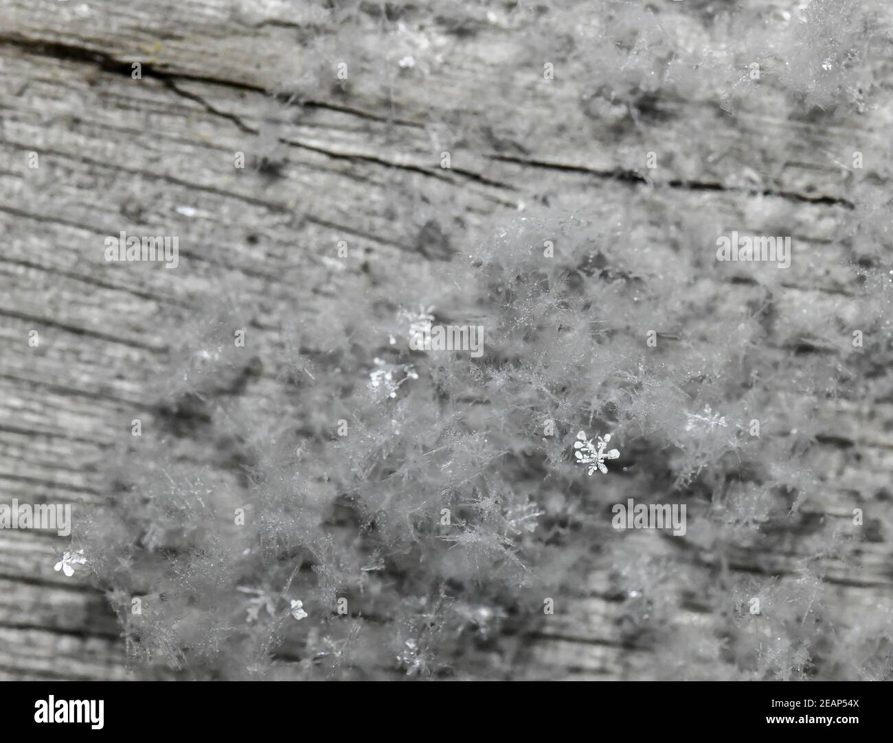 Real snowflake close up hi-res stock photography and images - Alamy