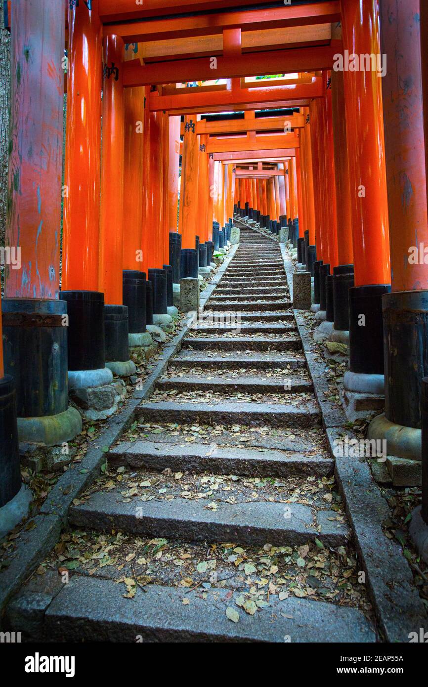 Dramatic Kyoto steps to orange temple Kyoto City, Kyoto Prefecture ...