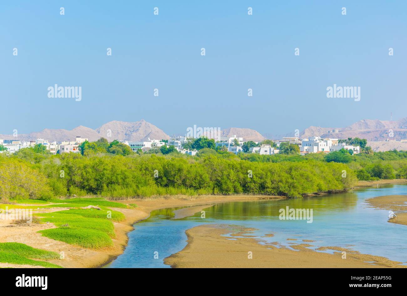 Wetlands in Muscat, the capital of Oman Stock Photo - Alamy
