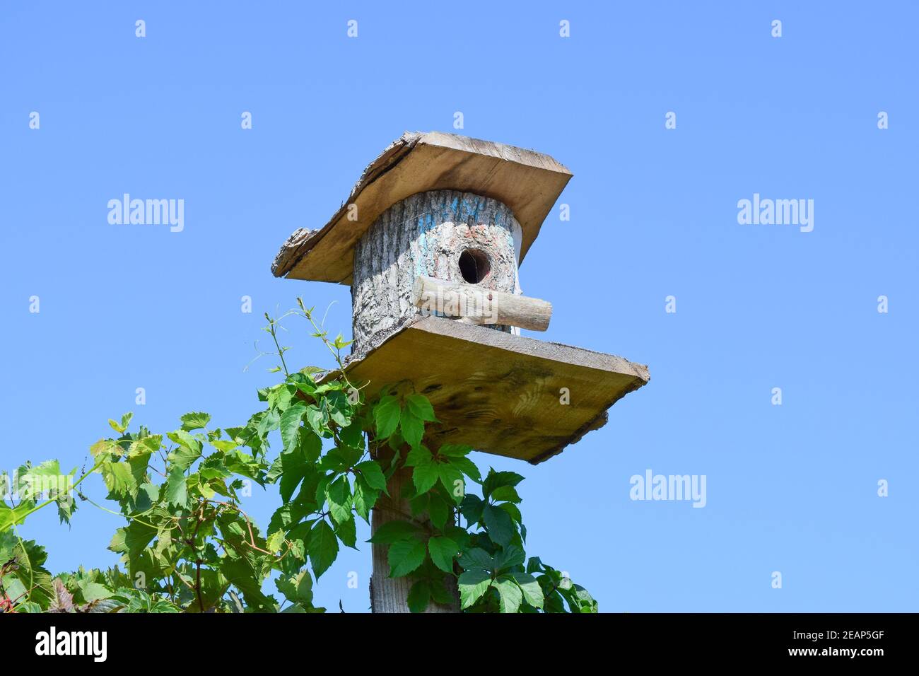 Rustic birdhouses hi-res stock photography and images - Alamy