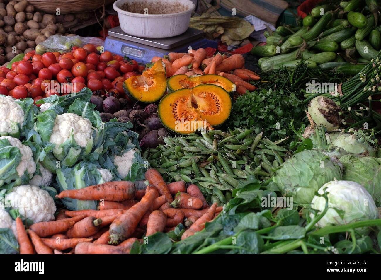 India potato harvest hi-res stock photography and images - Alamy