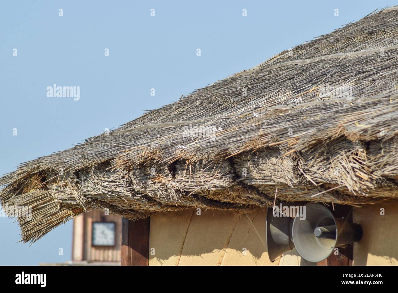 The slope of the roof of reeds and straw Stock Photo - Alamy