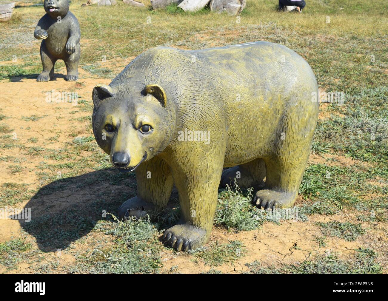 Alaska bear skin hi-res stock photography and images - Alamy