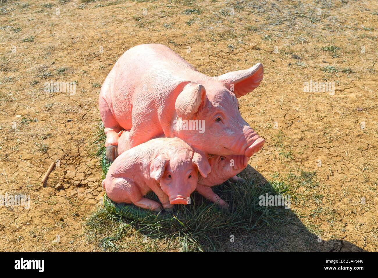 Plastic toy pig. Figures pigs on the lawn Stock Photo - Alamy