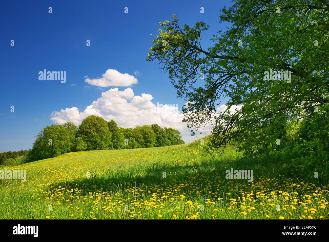 Wallpaper blue yellow hi-res stock photography and images - Alamy