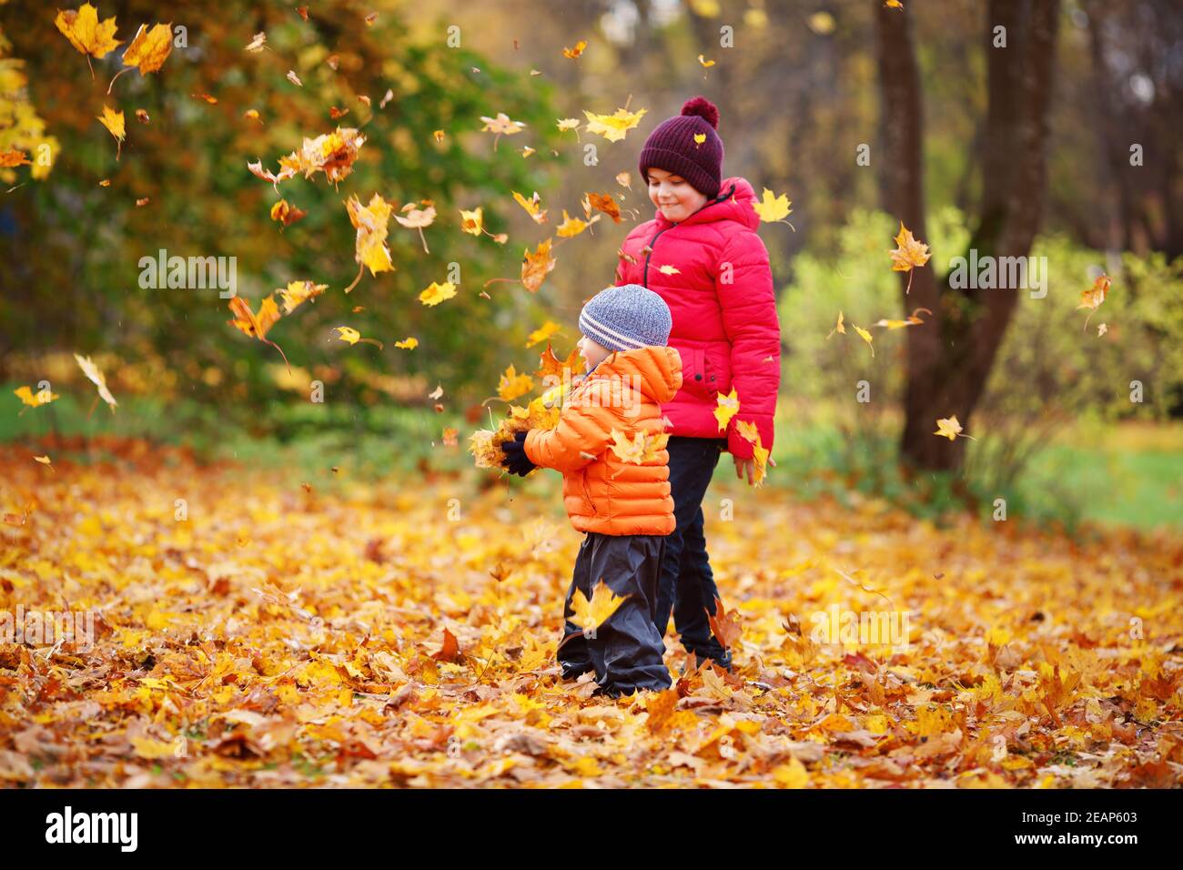 Children throwing autumn leaves hi-res stock photography and images - Alamy