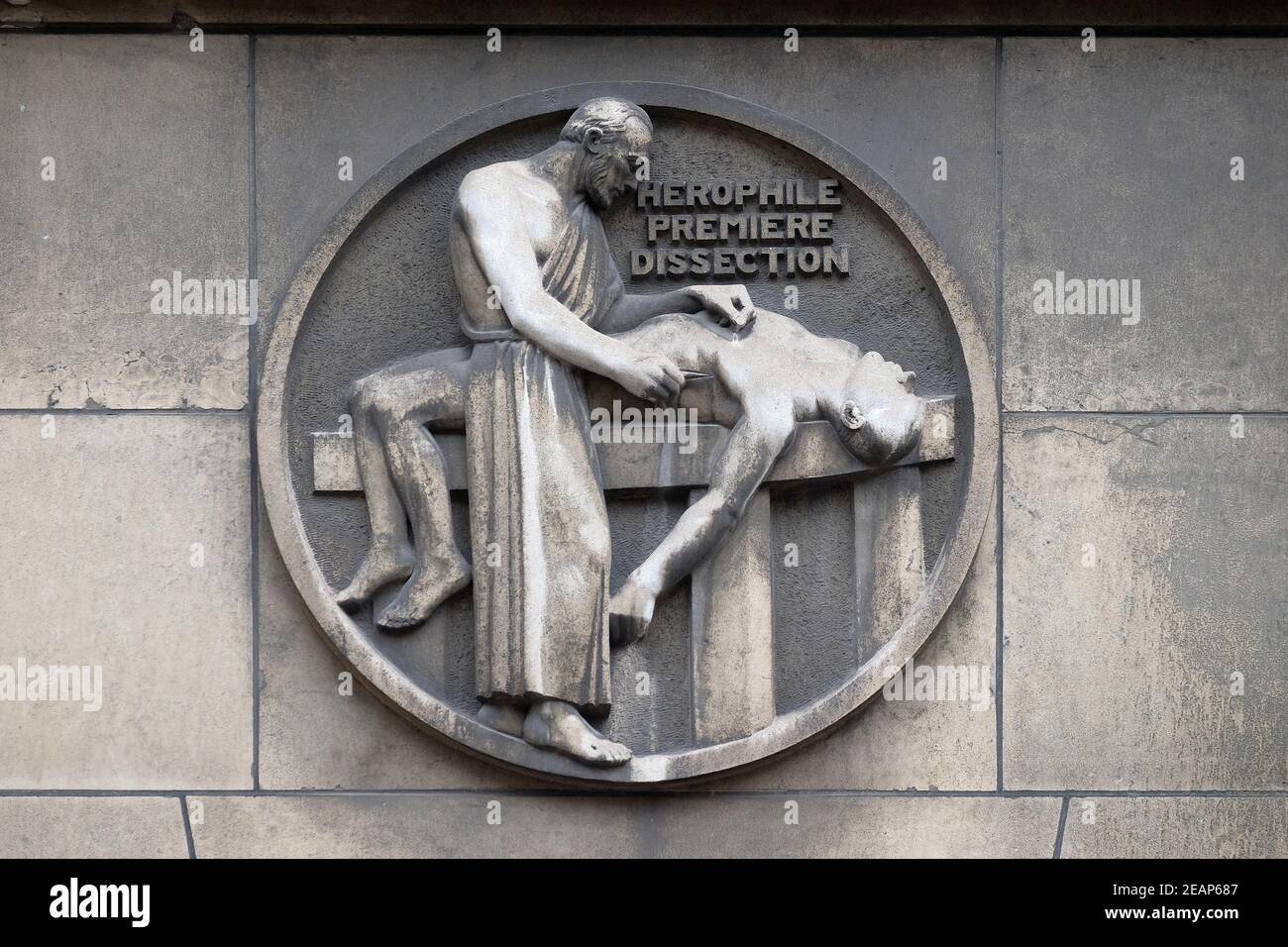Herophilos, the first dissection. Stone relief at the building of the ...
