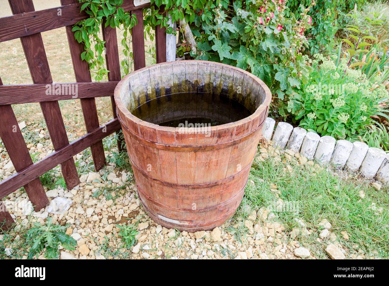 Wooden barrel filled with water Stock Photo - Alamy
