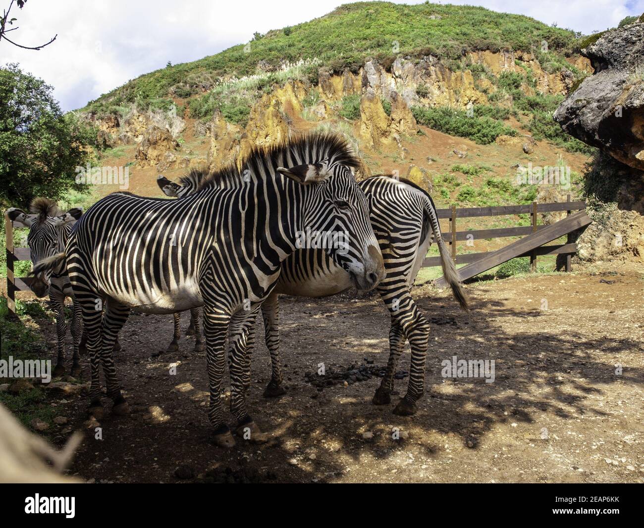 Tourists walk in farm hi-res stock photography and images - Alamy
