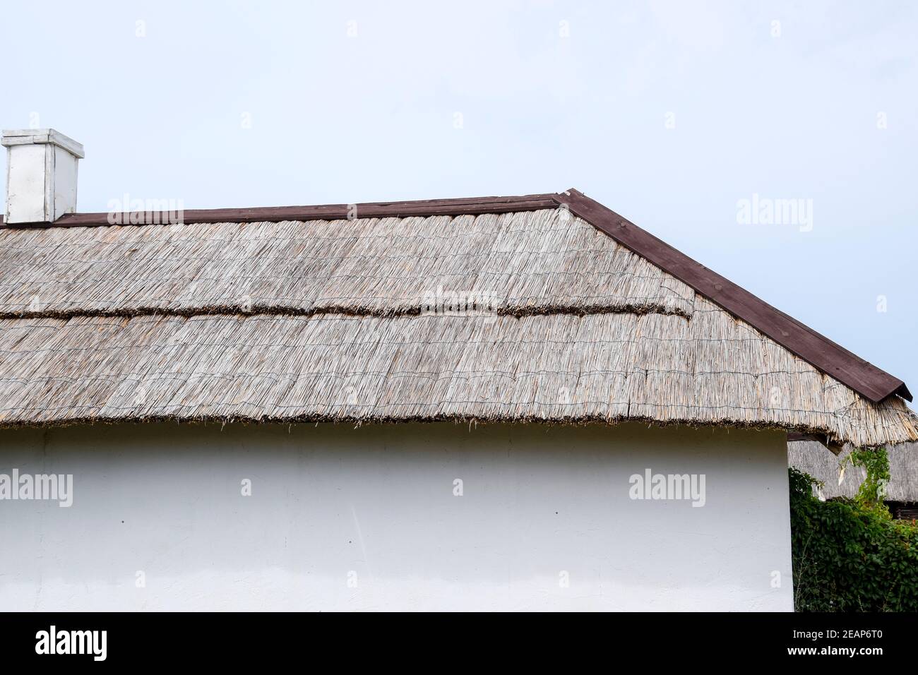 The slope of the roof of reeds and straw Stock Photo - Alamy