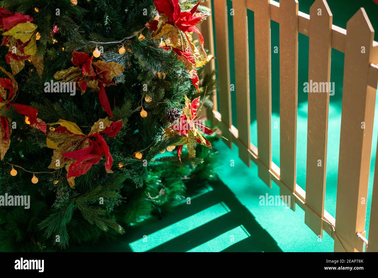 Morning light shadow over the fence Stock Photo - Alamy