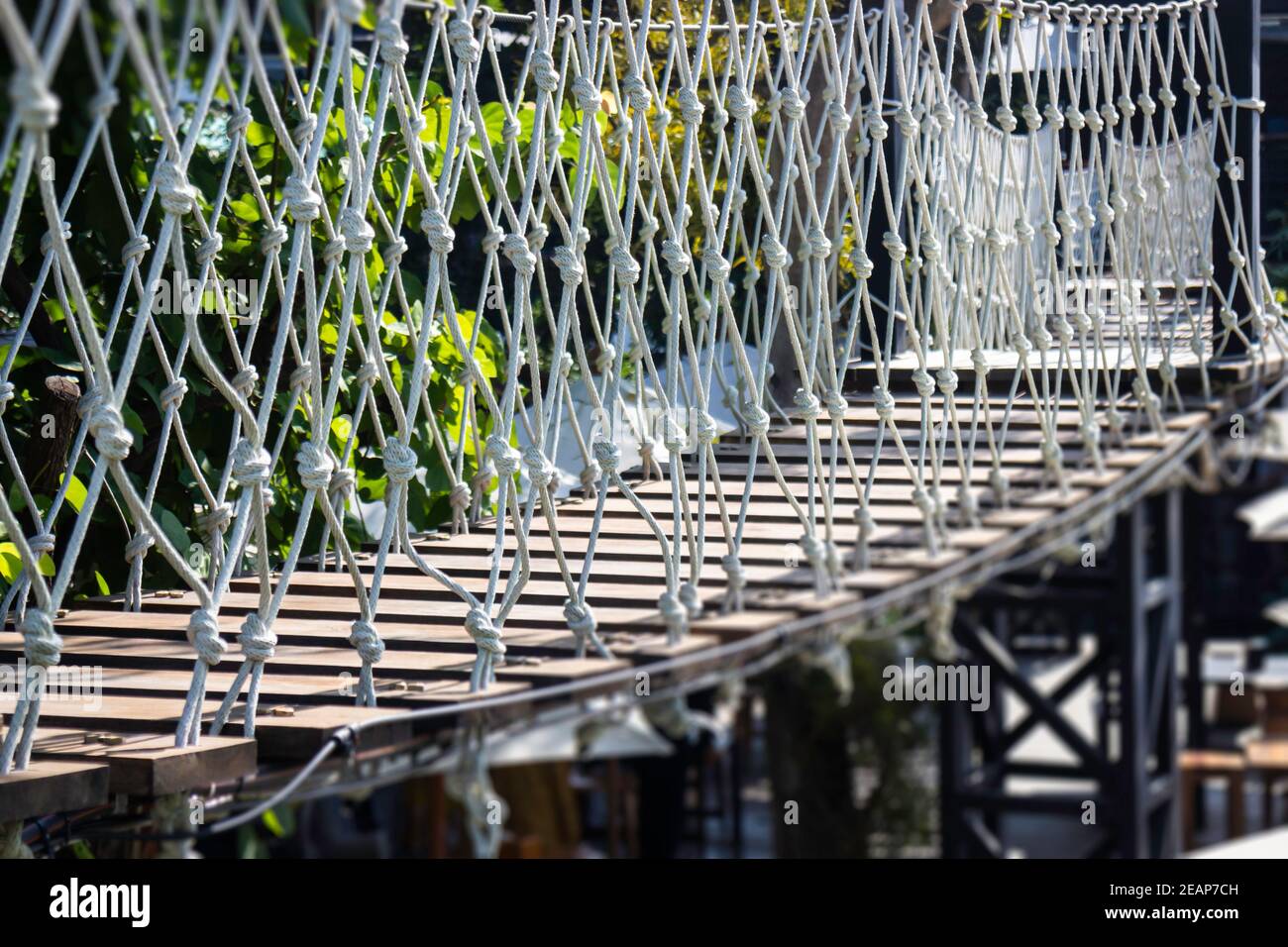Canopy bridge on summer field Stock Photo - Alamy