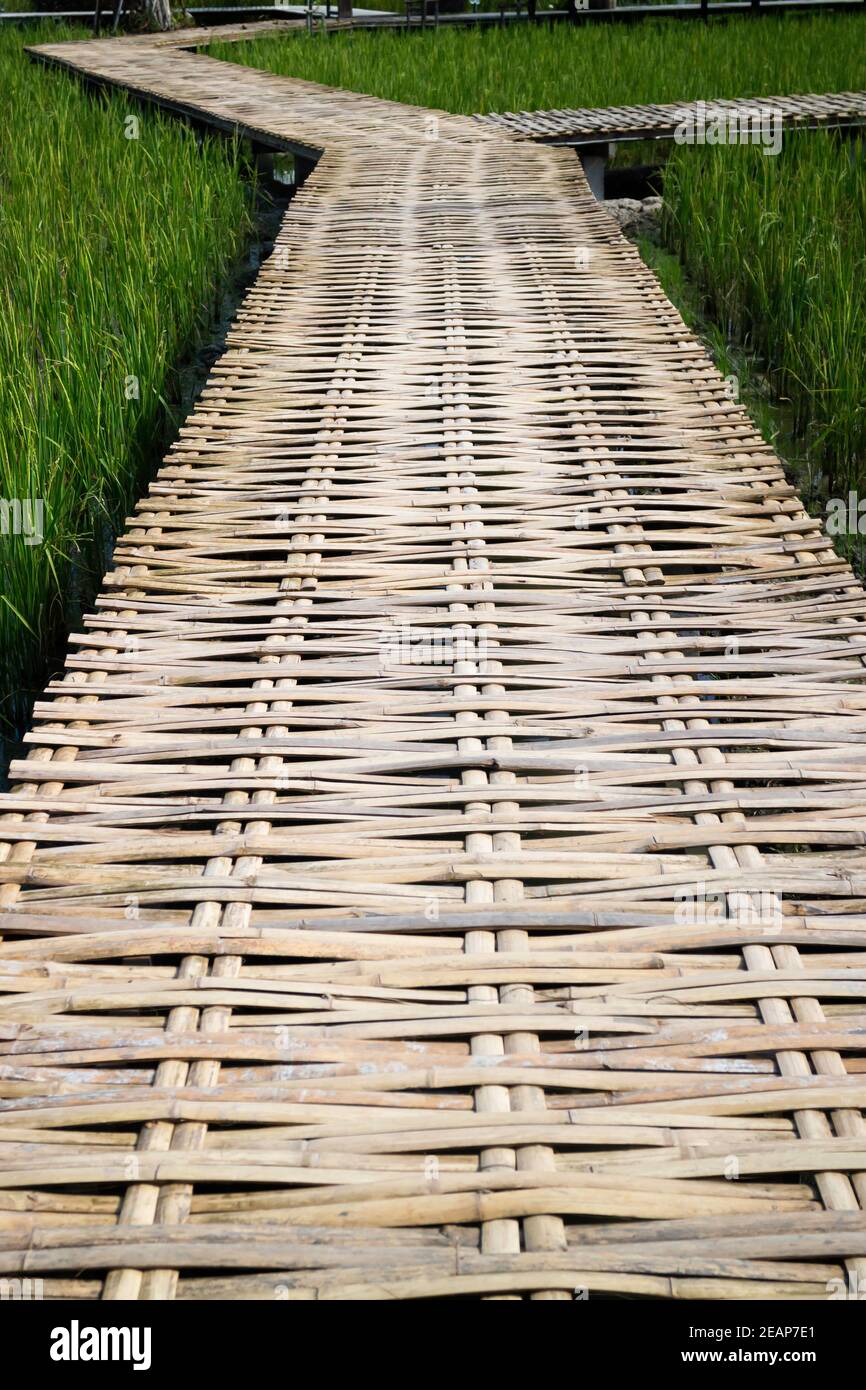 Simple walkway in summer rice field resort Stock Photo - Alamy