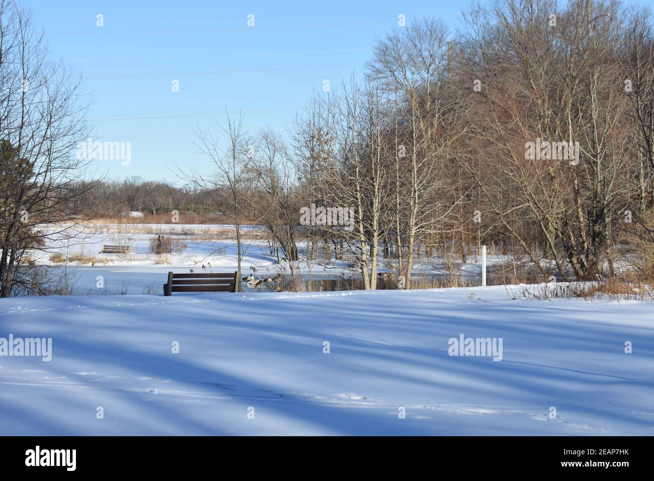 Davidson's Mill Pond Park walking trails after a heavy mid-winter snow ...