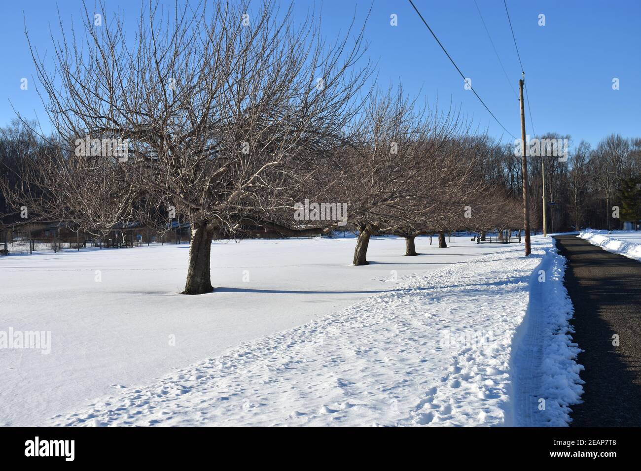 Davidson's Mill Pond Park walking trails after a heavy mid-winter snow ...