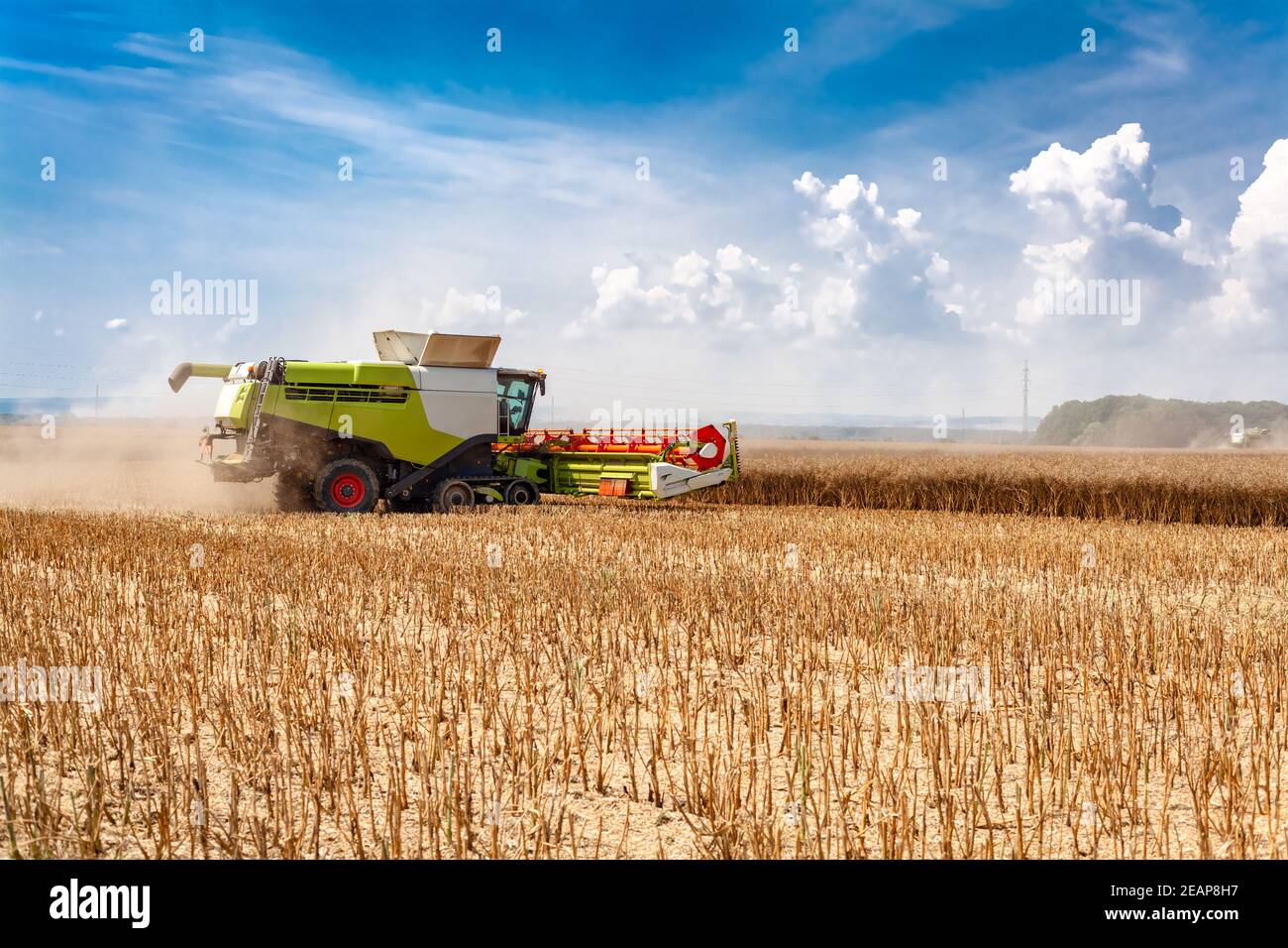Grain harvesting with combine harvester hi-res stock photography and ...
