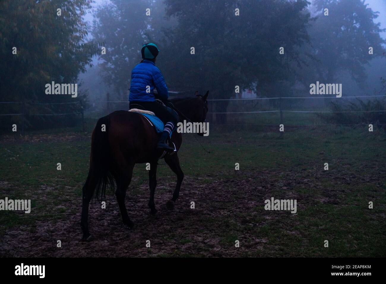 evening ride in a horse saddle Stock Photo - Alamy