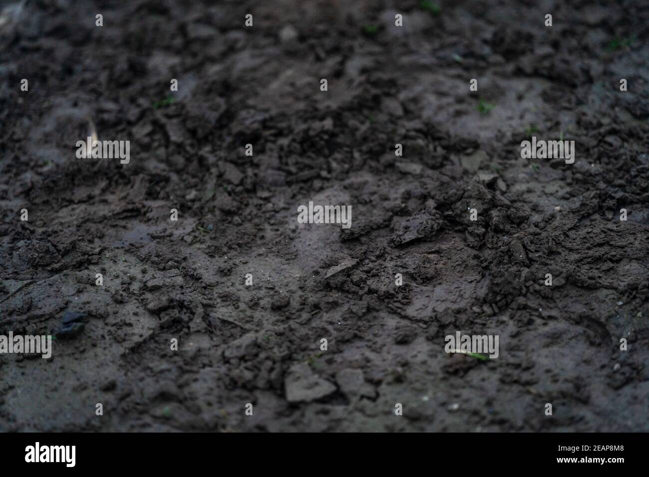 Texture mud wet dirt puddle hi-res stock photography and images - Alamy