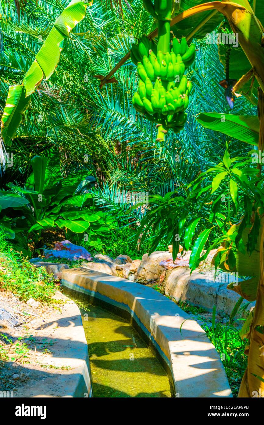 Aflaj irrigation system hi-res stock photography and images - Alamy