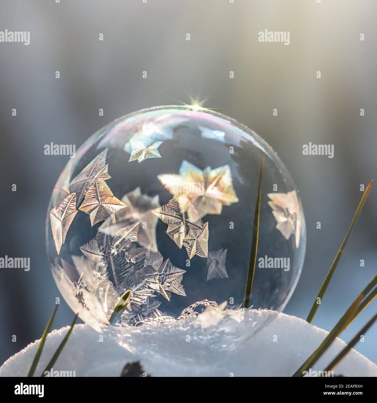 frozen soap bubble in the snow close-up Stock Photo - Alamy