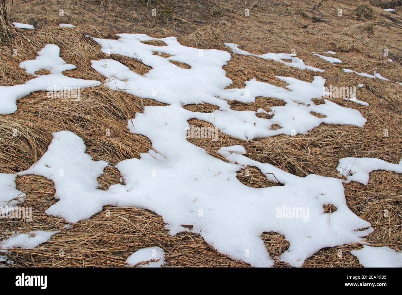 Early earth hi-res stock photography and images - Alamy
