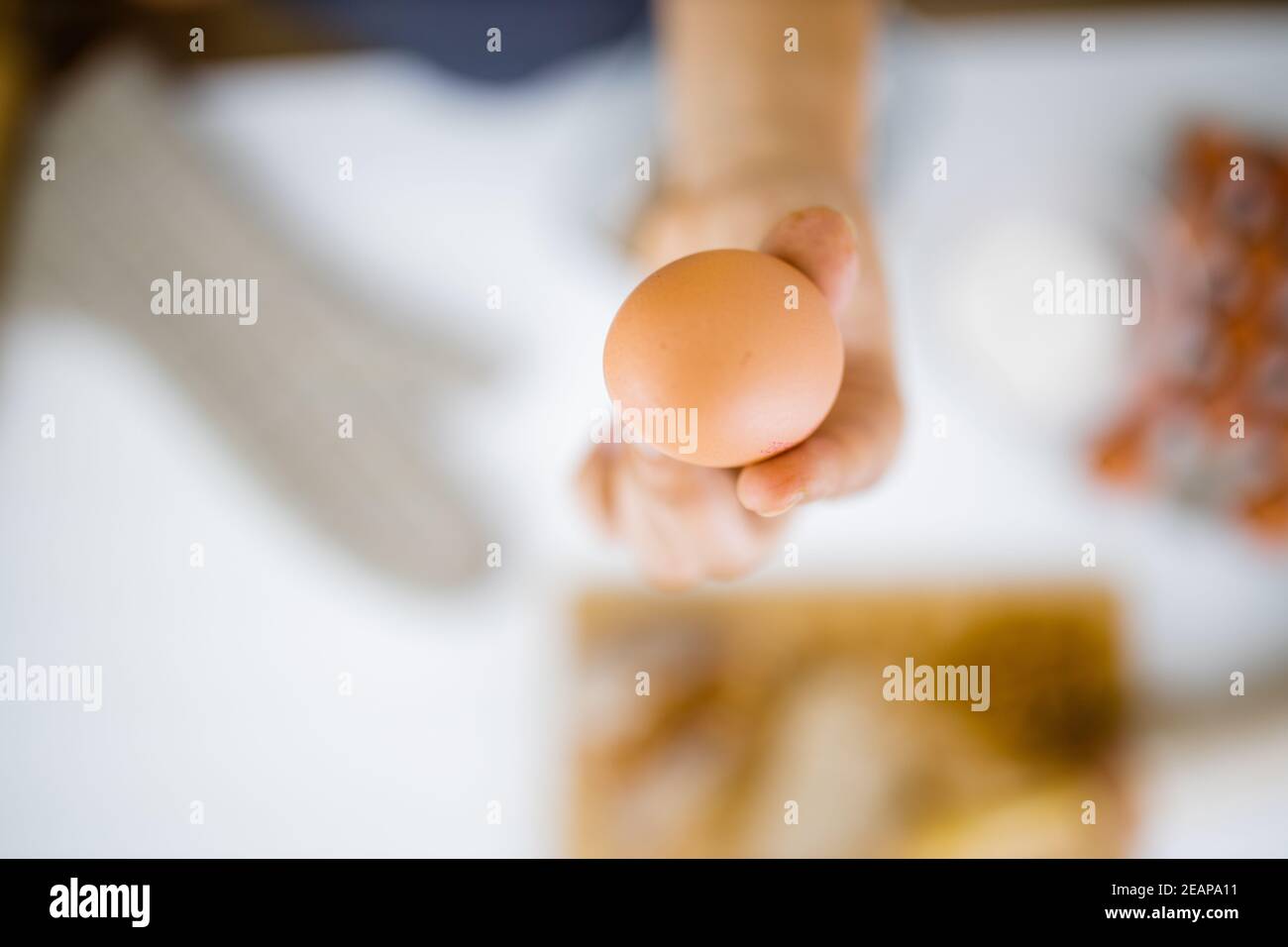 Hand holding an egg hi-res stock photography and images - Alamy