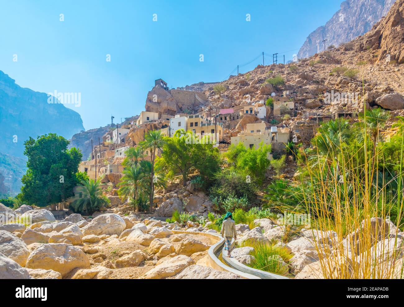 View of an oasis with typical falaj irrigation system in the Wadi Tiwi ...