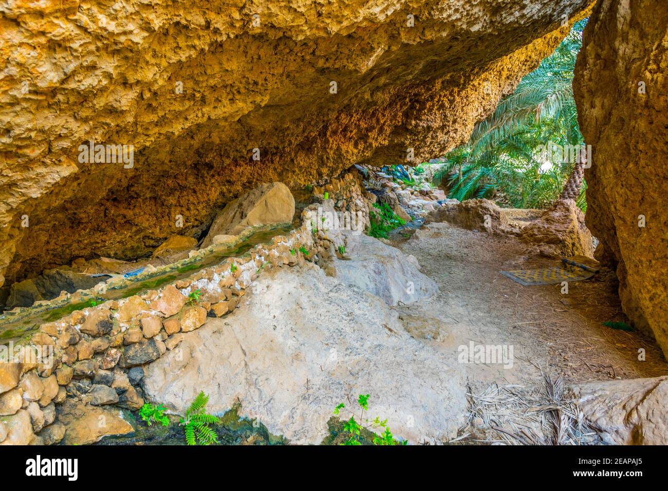 View of an oasis with typical falaj irrigation system in the Wadi Tiwi ...