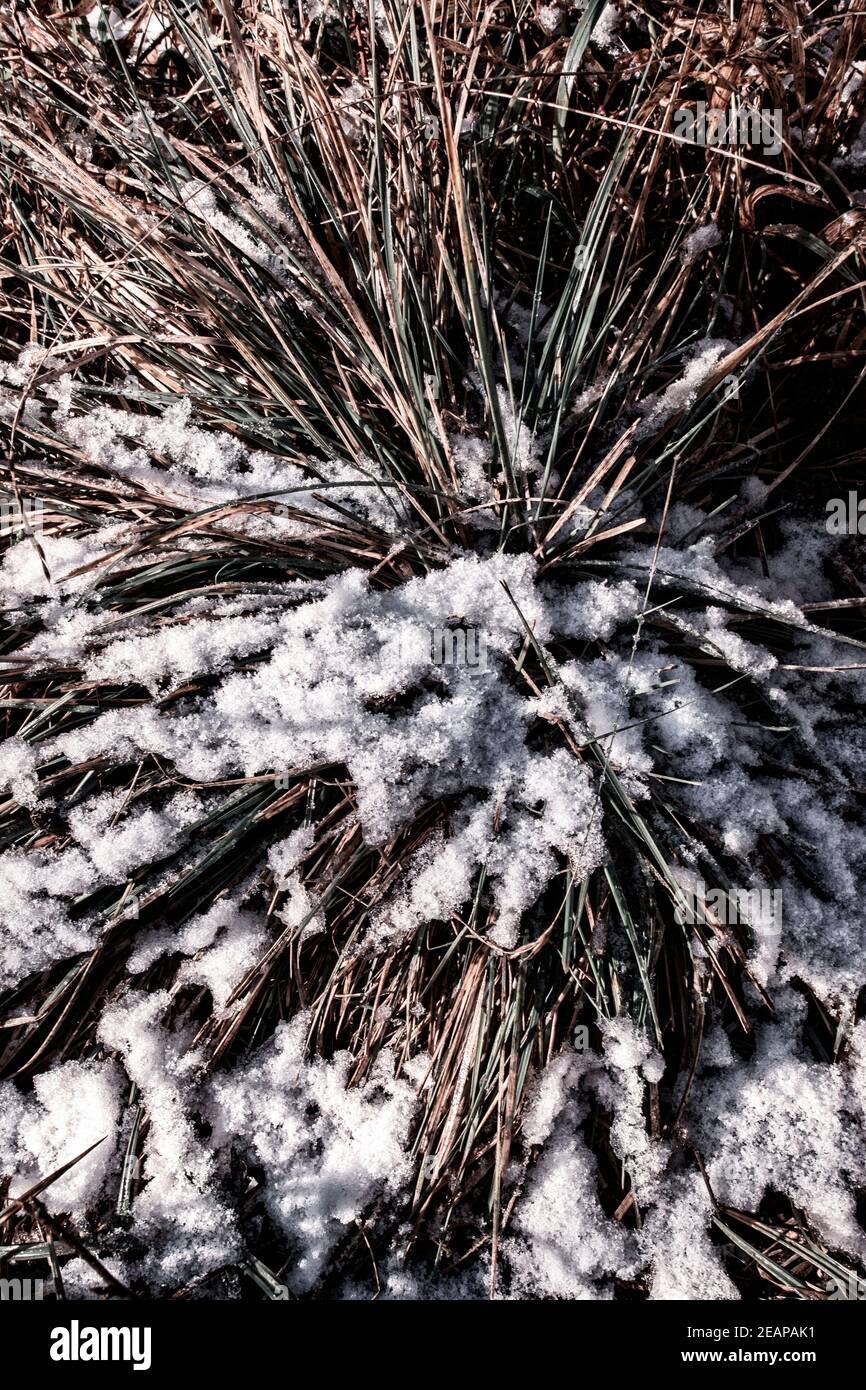 Weak consistency hi-res stock photography and images - Alamy