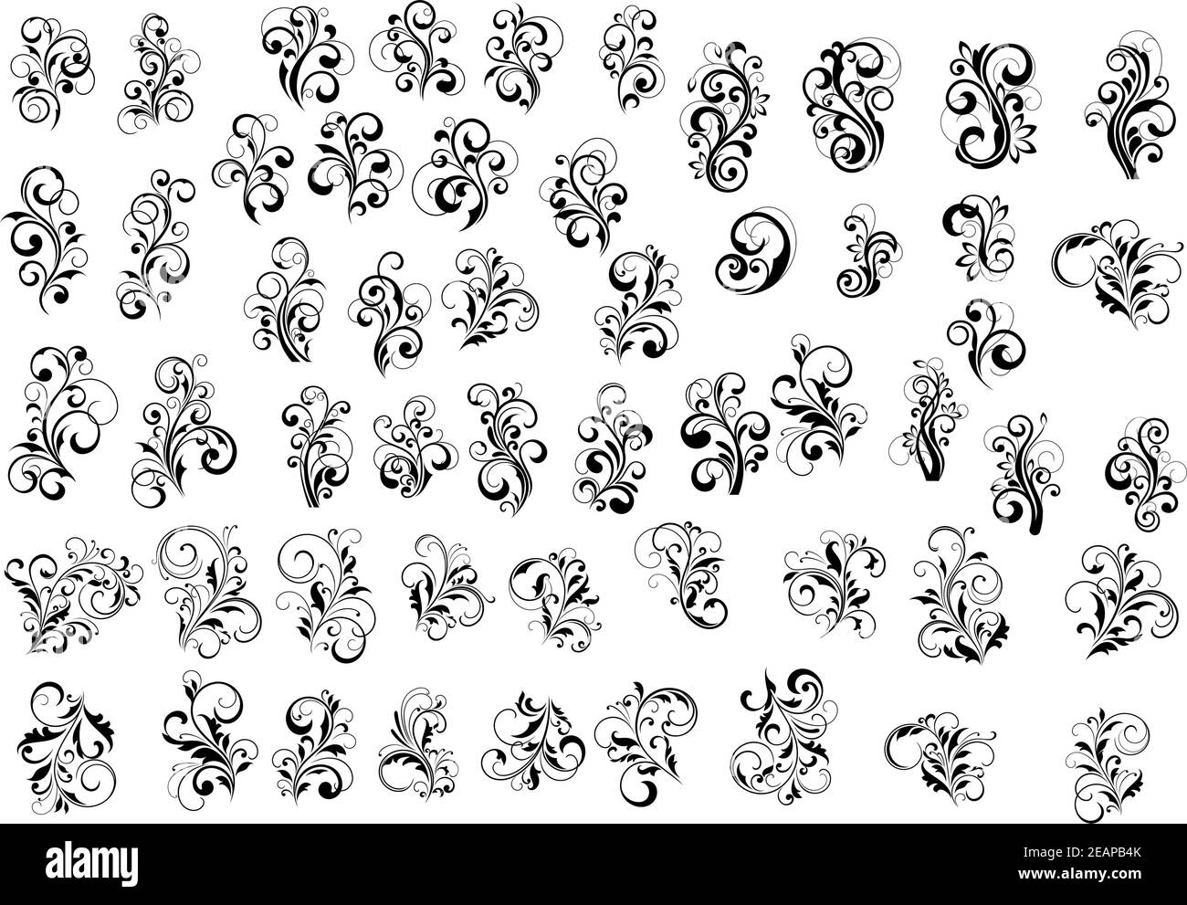 Retro floral design elements and flourishes set isolated on white ...