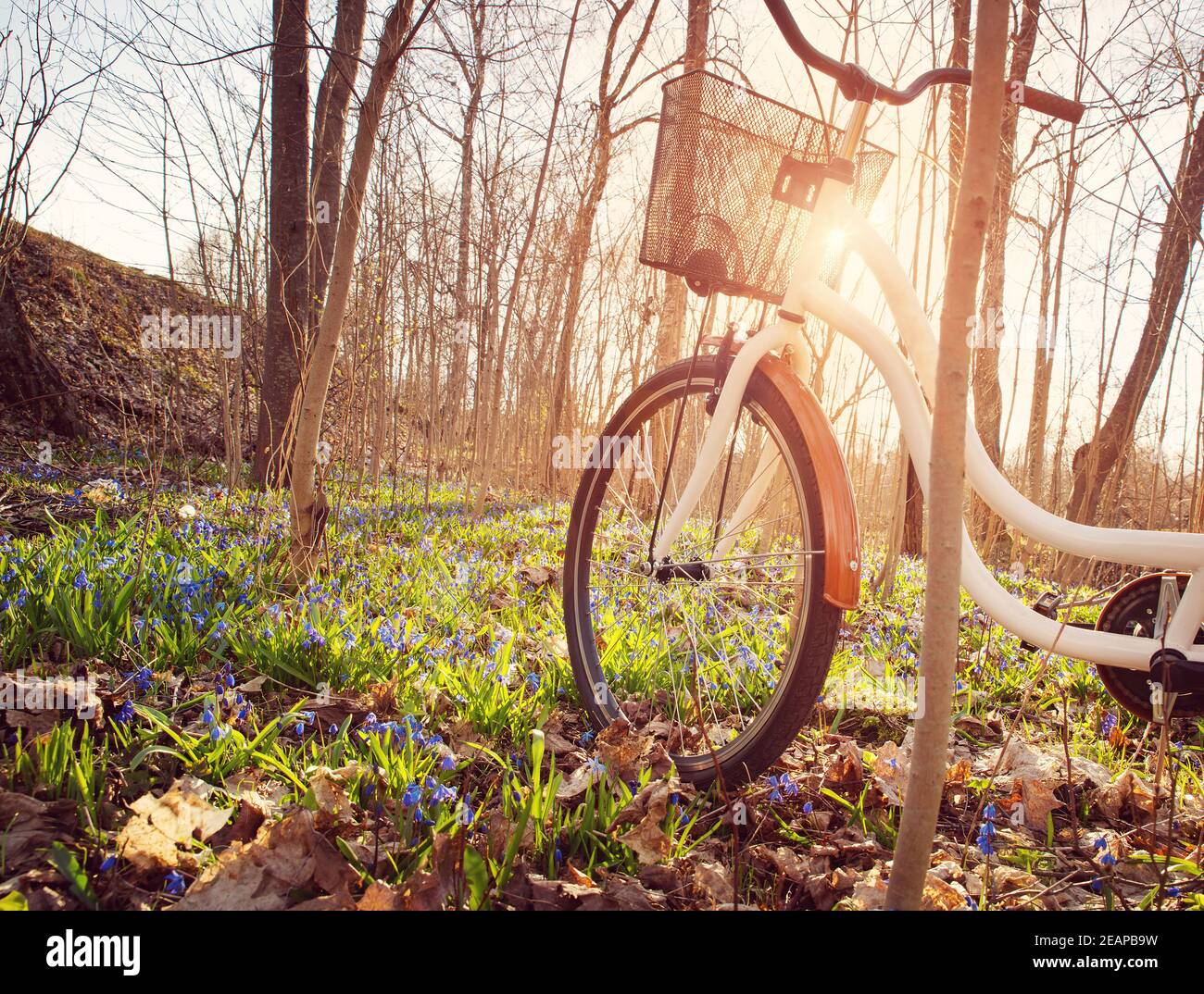 Outside park riding bicycle road hi-res stock photography and images ...