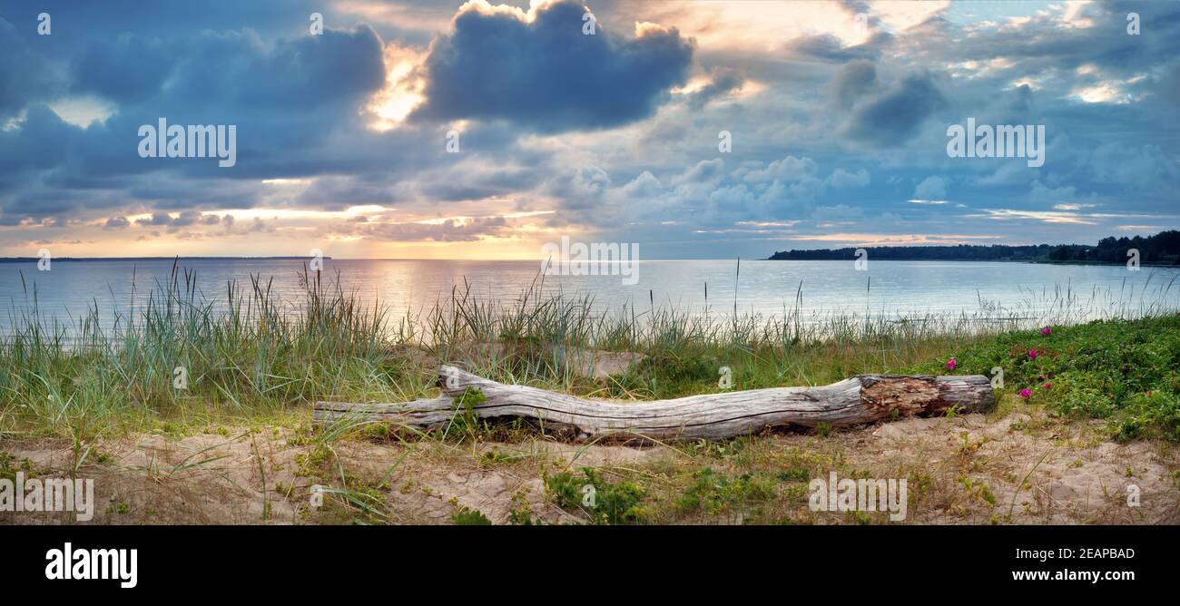 Log on the beach at sunset Stock Photo - Alamy