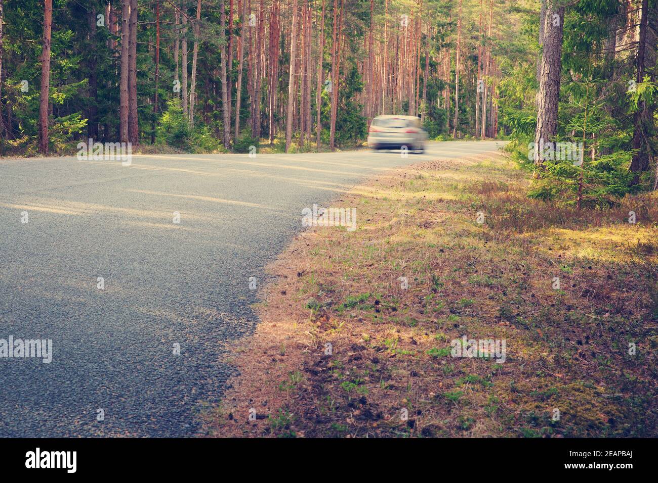 asphalt road in the forest Stock Photo - Alamy