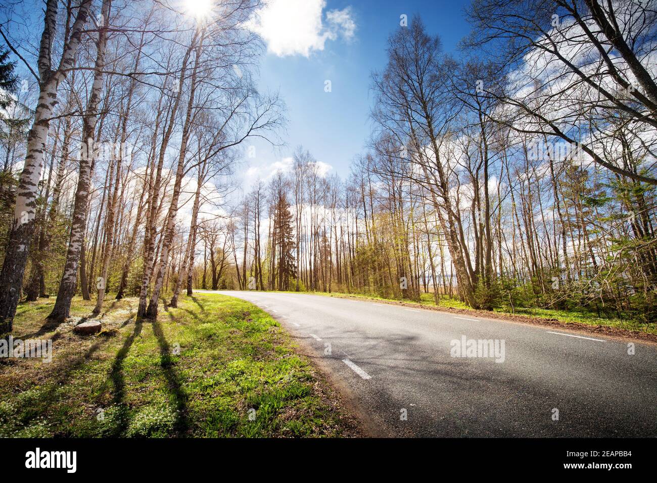 Road panorama on sunny spring evening Stock Photo - Alamy