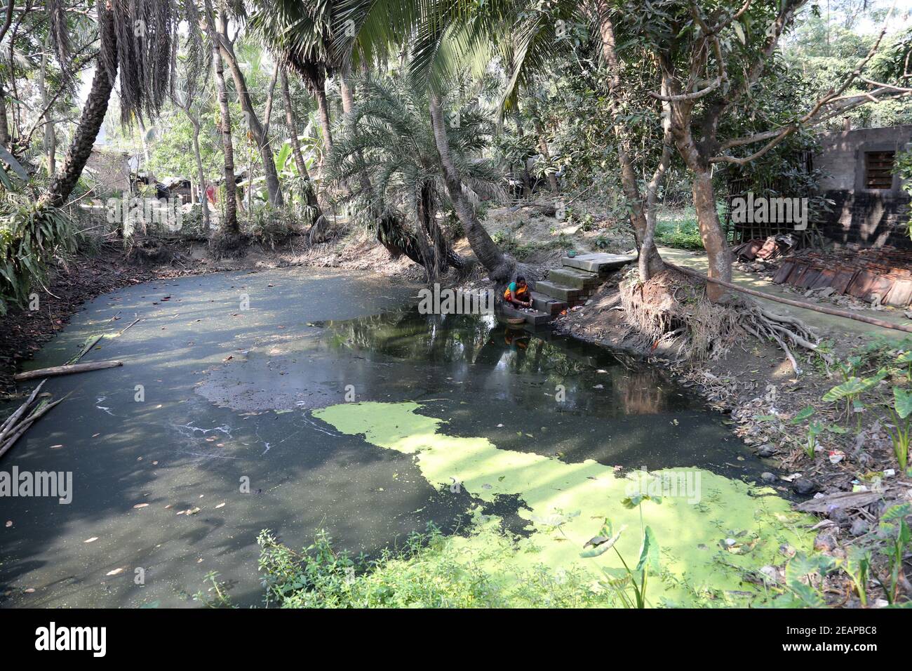 Bengali village Basanti, West Bengal, India Stock Photo - Alamy
