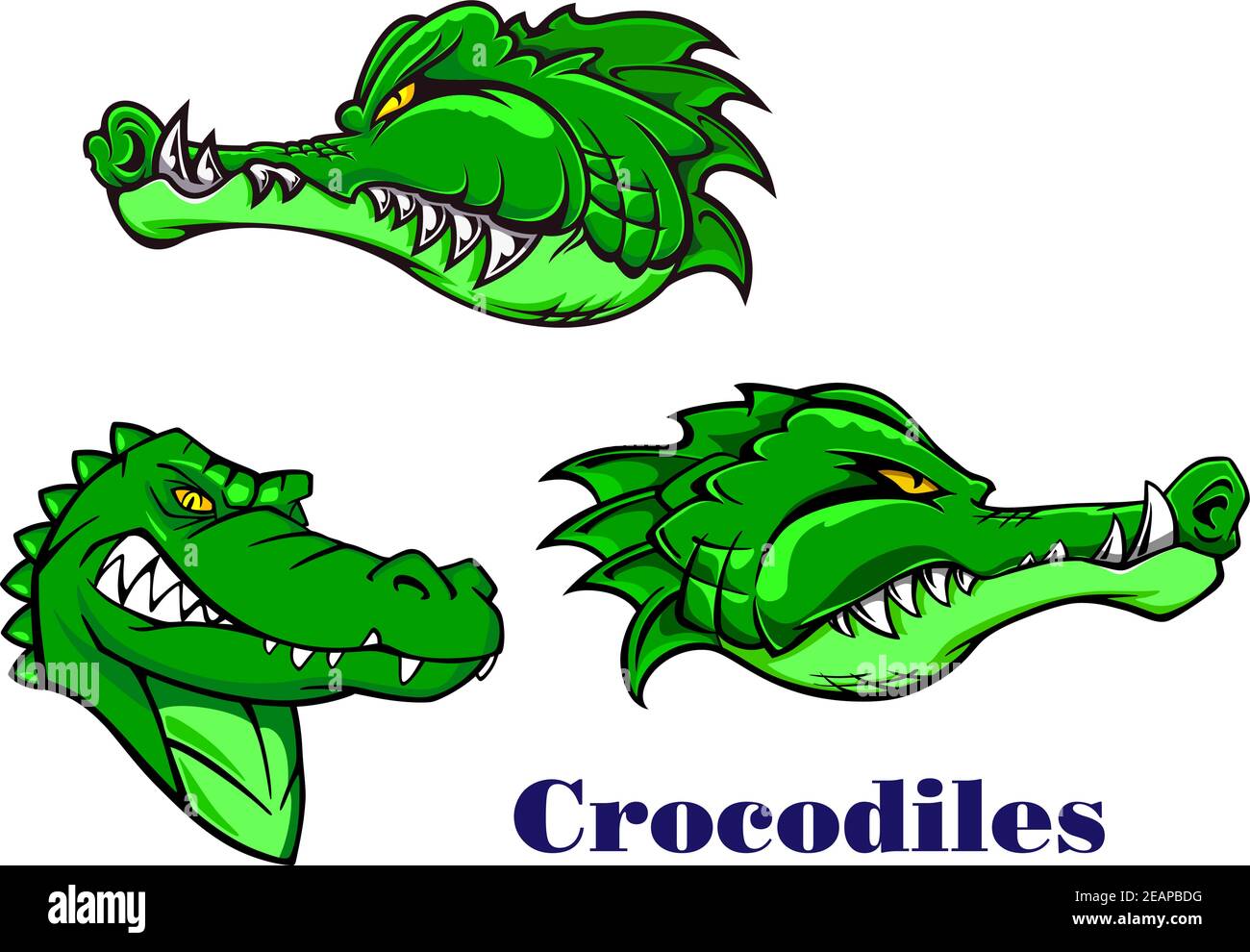 Nile crocodile Stock Vector Images - Alamy