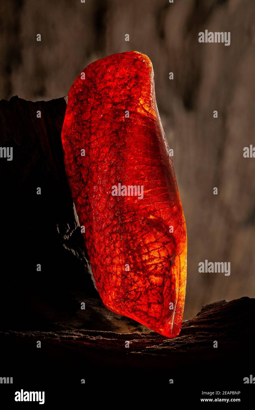 Beauty of natural raw amber. A piece of yellow and red semi transparent ...