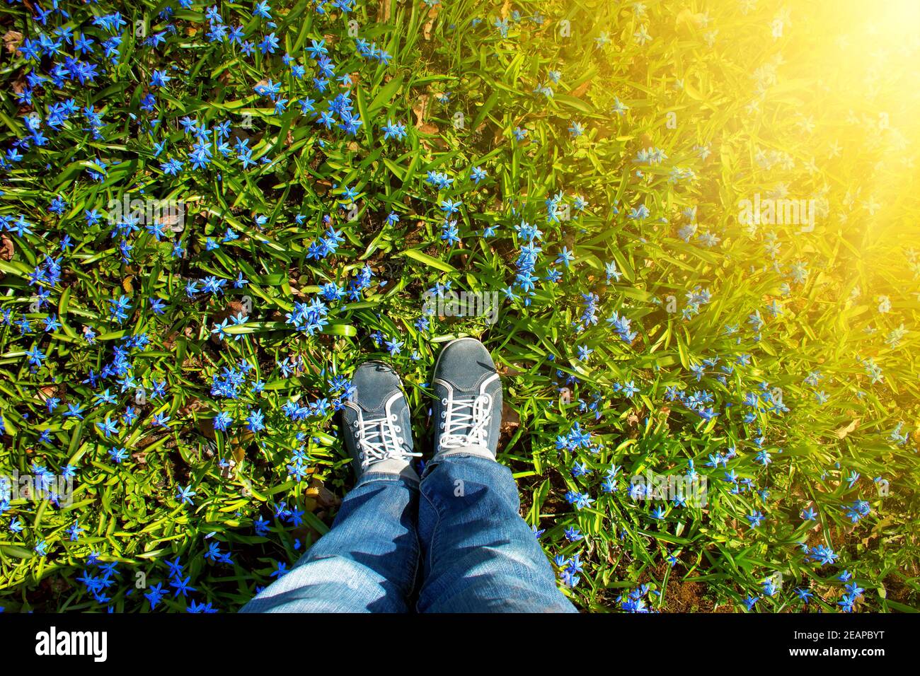 Flowers on feet hi-res stock photography and images - Alamy