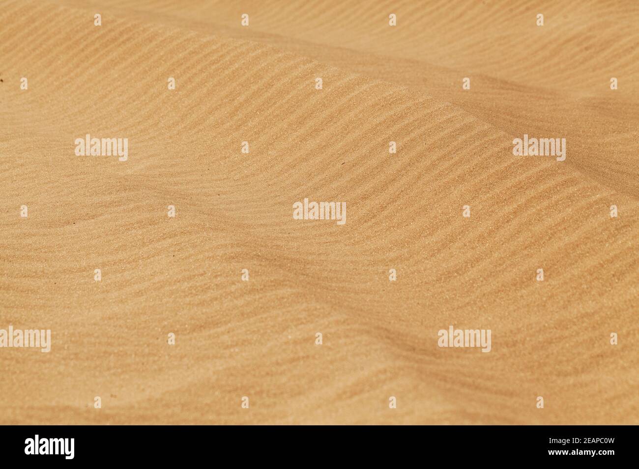 Yellow desert sand with diagonal wave patern Stock Photo - Alamy